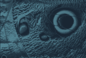 AI data collection methods & techniques I LXT